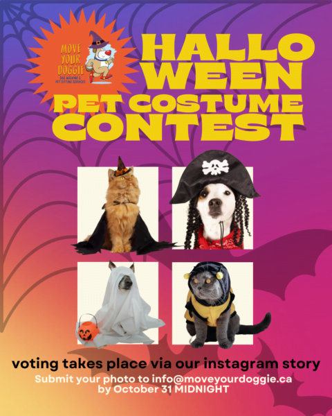 MYD Halloween Pet Costume Contest | Move Your Doggie